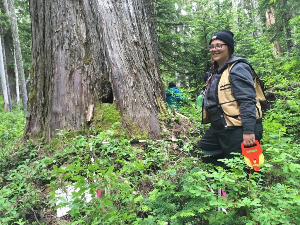 Mount St. Helens – Fischer Lab of Plant Community and Ecosystem Ecology