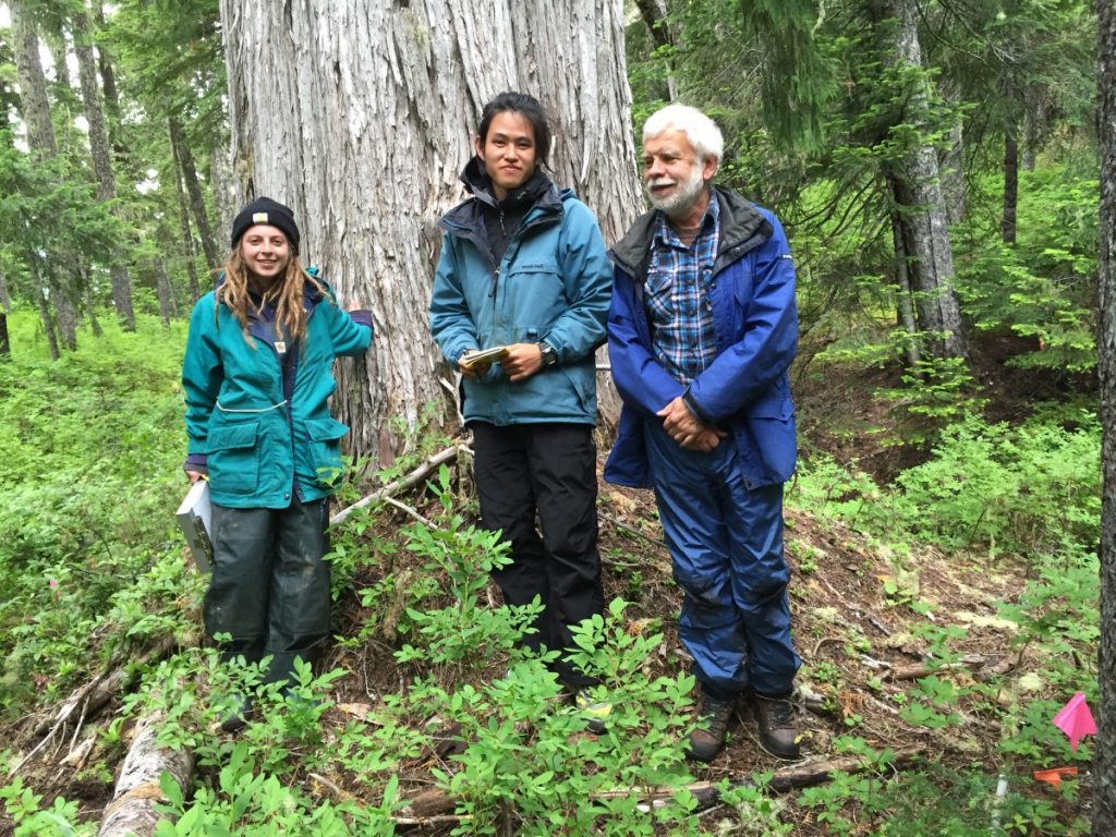 Mount St. Helens – Fischer Lab of Plant Community and Ecosystem Ecology