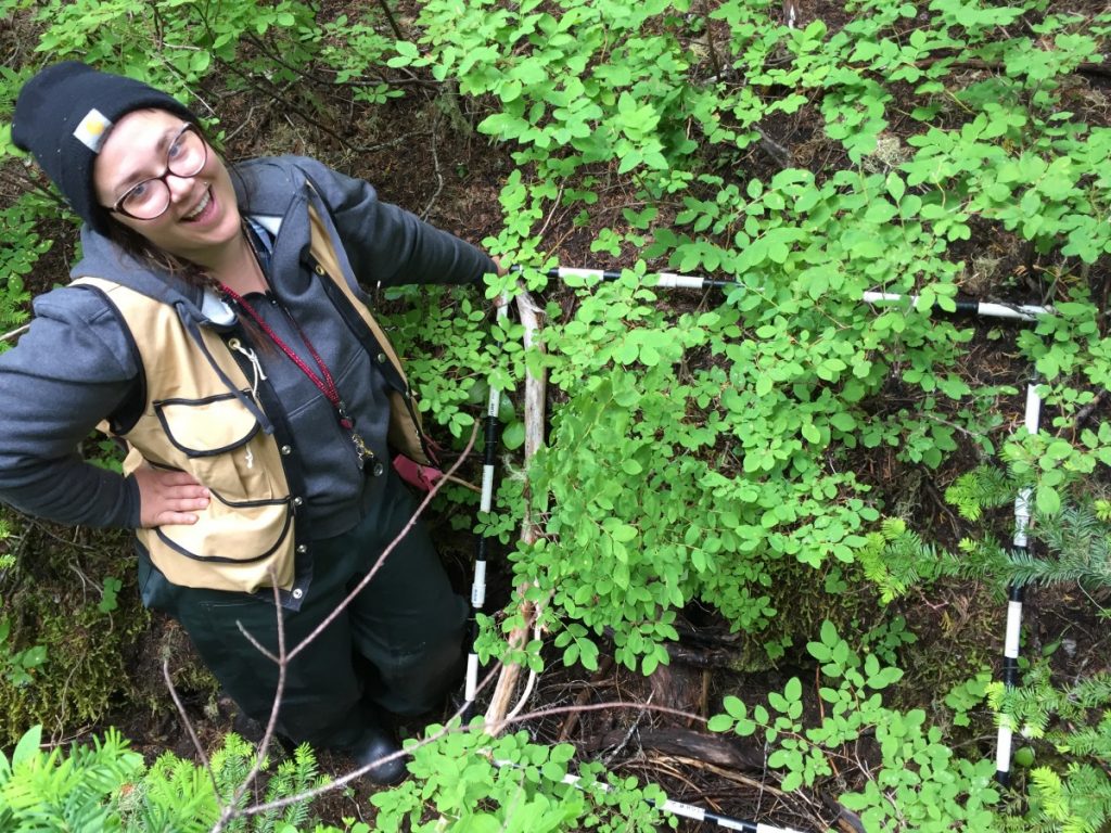 Mount St. Helens – Fischer Lab of Plant Community and Ecosystem Ecology