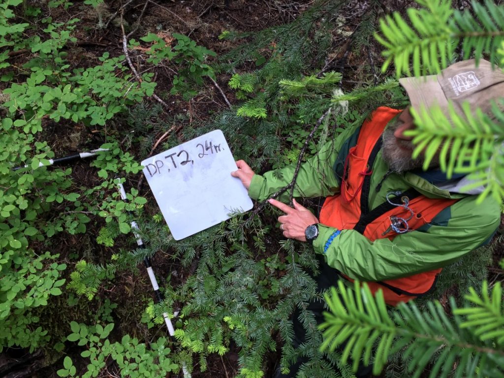 Mount St. Helens – Fischer Lab of Plant Community and Ecosystem Ecology