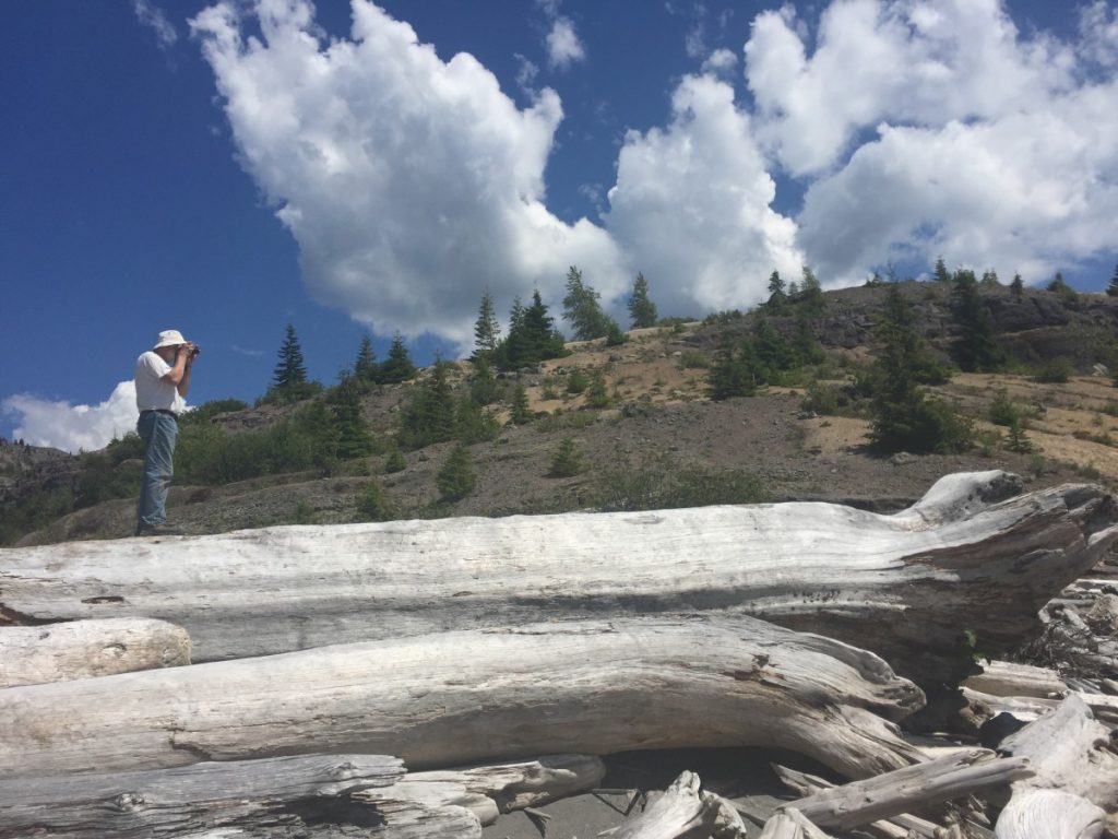 Mount St. Helens – Fischer Lab of Plant Community and Ecosystem Ecology